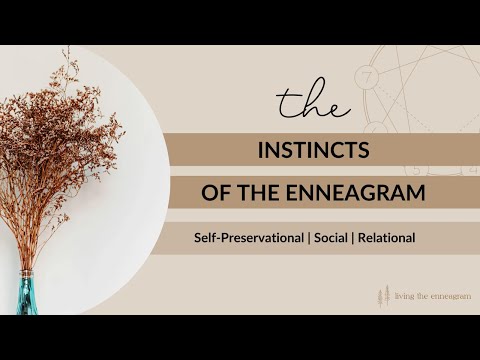 The Instincts of the Enneagram: Self-Preservation, Social and Relational