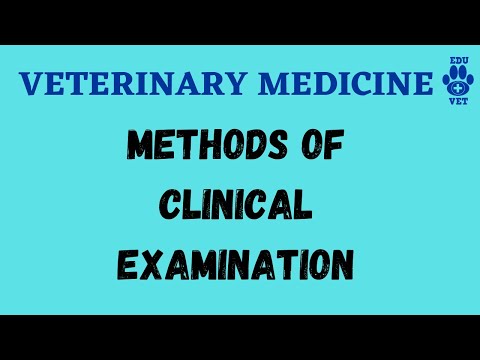 11.VMD-Methods of Clinical Examination