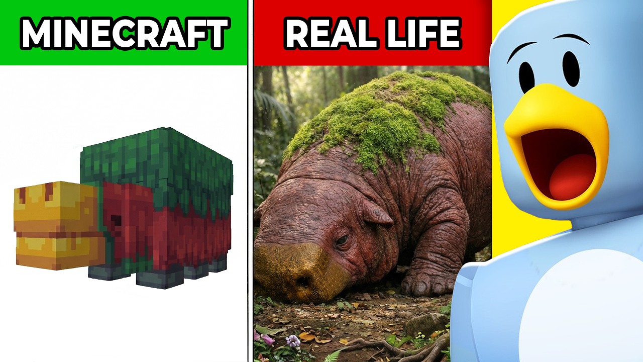 Minecraft VS REAL LIFE! (Blocks, Items, Mobs)