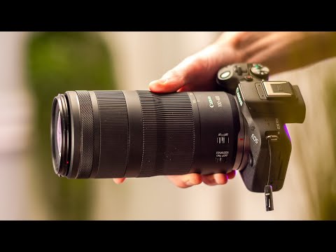 Canon RF 100-400mm: The most underrated (5050C002)