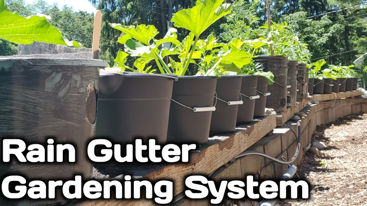 Rain Gutter Garden System-Full Guide With Tips and Hacks