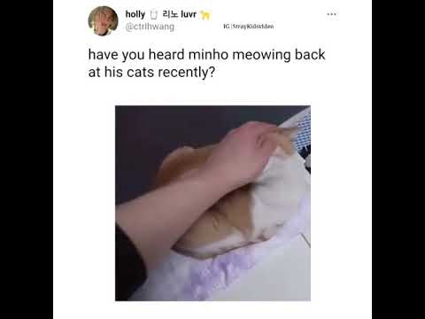 Lee know with his cat #leeknow #leeknowcats