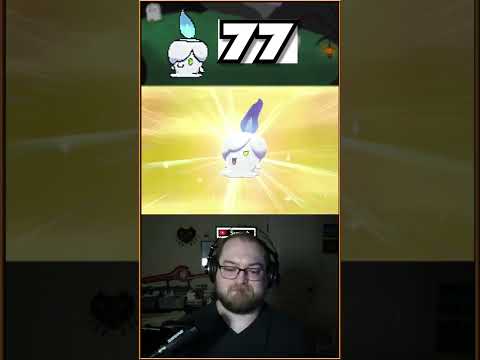 Litwick Shiny Hunting | Day 8