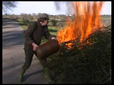 A few things that happened in Belstone in the year 2000