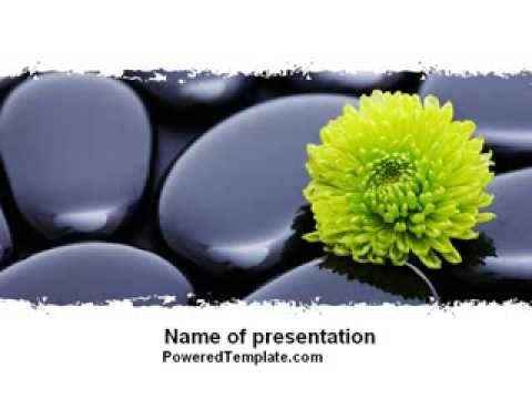 Yellow Flower In A Dark Blue Stones PowerPoint Template by PoweredTemplate.com