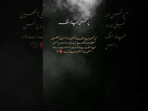 Prince Charming 💘#urduquotes #foryou #explore #shorts #youtubeshorts