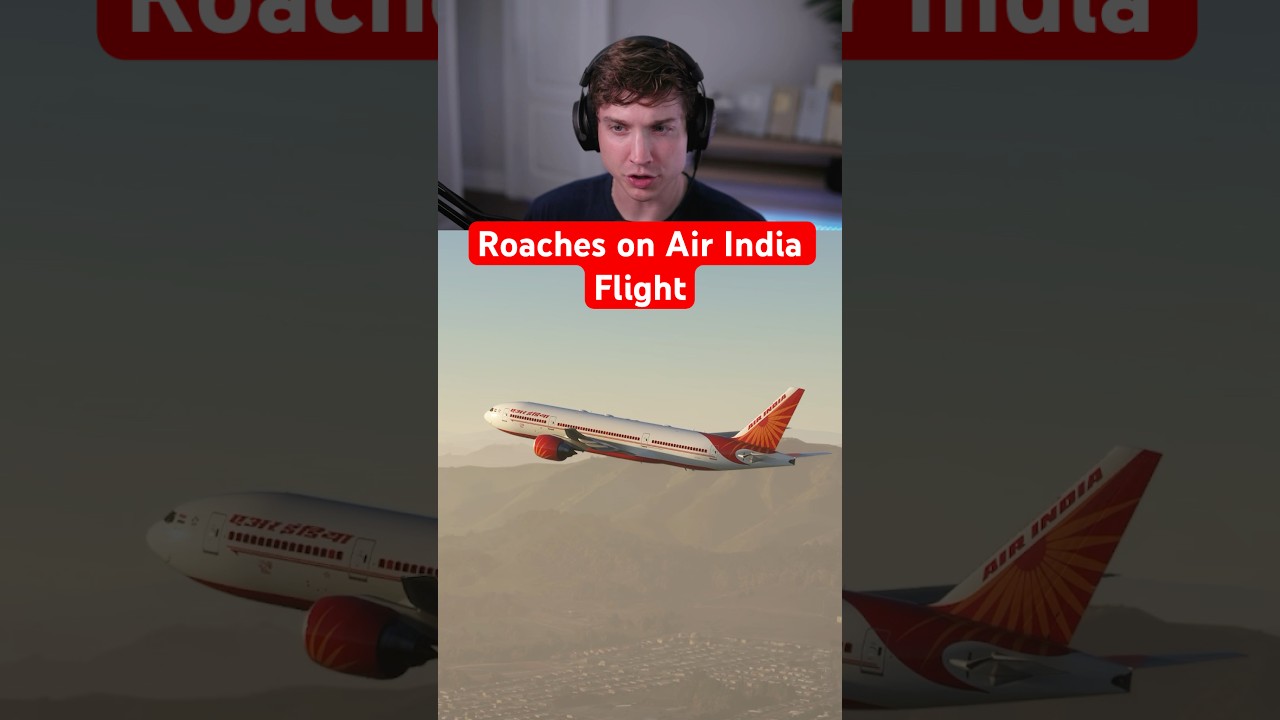 Roaches on Air India Flight