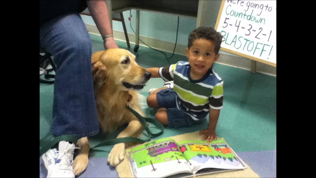 SCDL Literacy