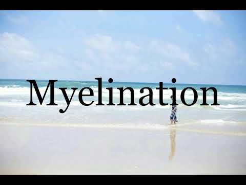 How To Pronounce Myelination🌈🌈🌈🌈🌈🌈Pronunciation Of Myelination
