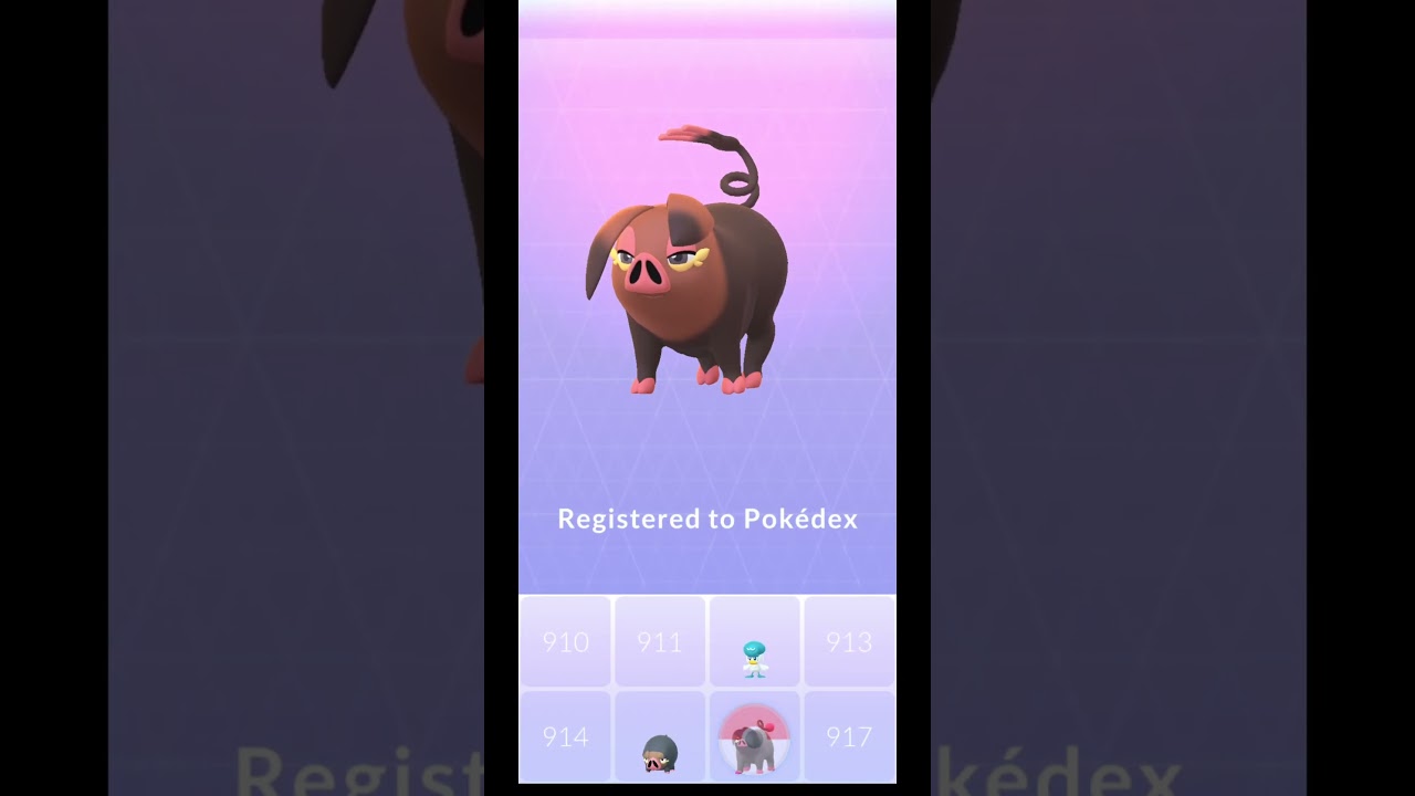 Evolving LECHONK to OINKOLOGNE (FEMALE) in Pokemon Go #pokemon #pokemongo