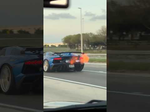 Lamborghini Aventador SVJ Roadster rolling! Pure V12 sound! #aventador