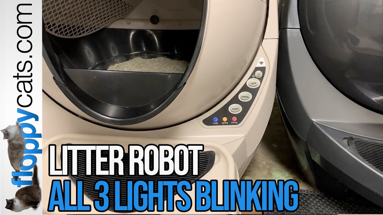 Litter Robot 3 Troubleshooting: All Lights Flashing After Installing Connect Kit
