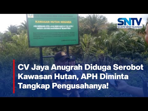 Waduh‼️CV Jaya Anugrah Diduga Serobot Kawasan Hutan, APH Diminta Tangkap Pengusahanya!