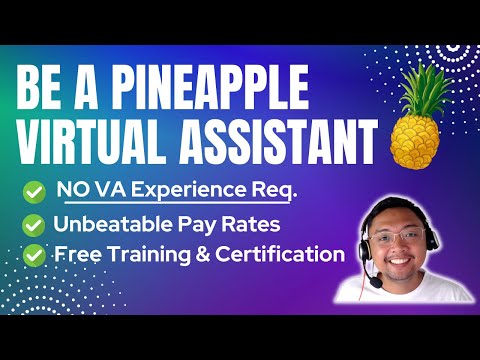 Earn as a Pineapple Virtual Assistant | Highly Rate VAs