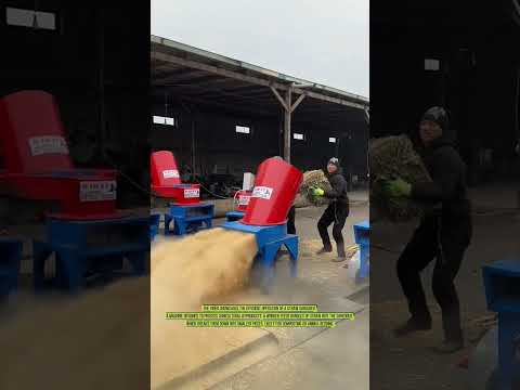 Transforming Straw: The Power of a Straw Shredder in Action