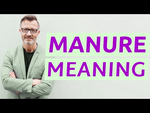 Manure | Definition of manure