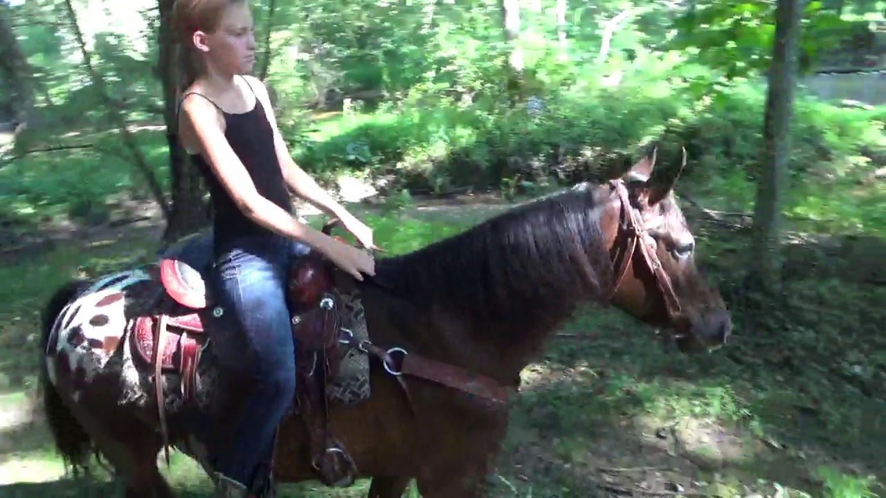 ***sold River- blanket appaloosa bombproof trail horse