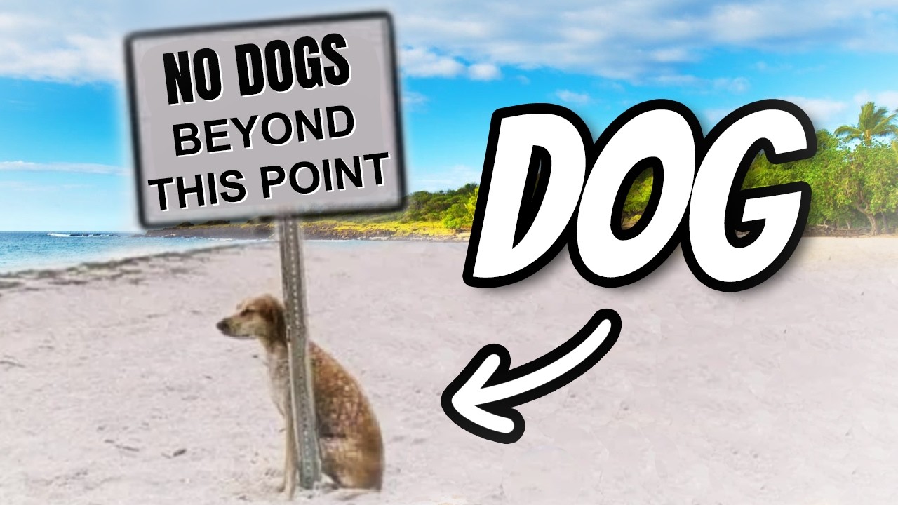 r/HolUp Law-breaking dog 😎