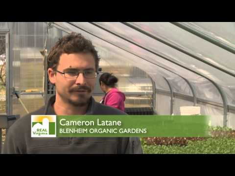 Organic, Natural and Conventional Farming