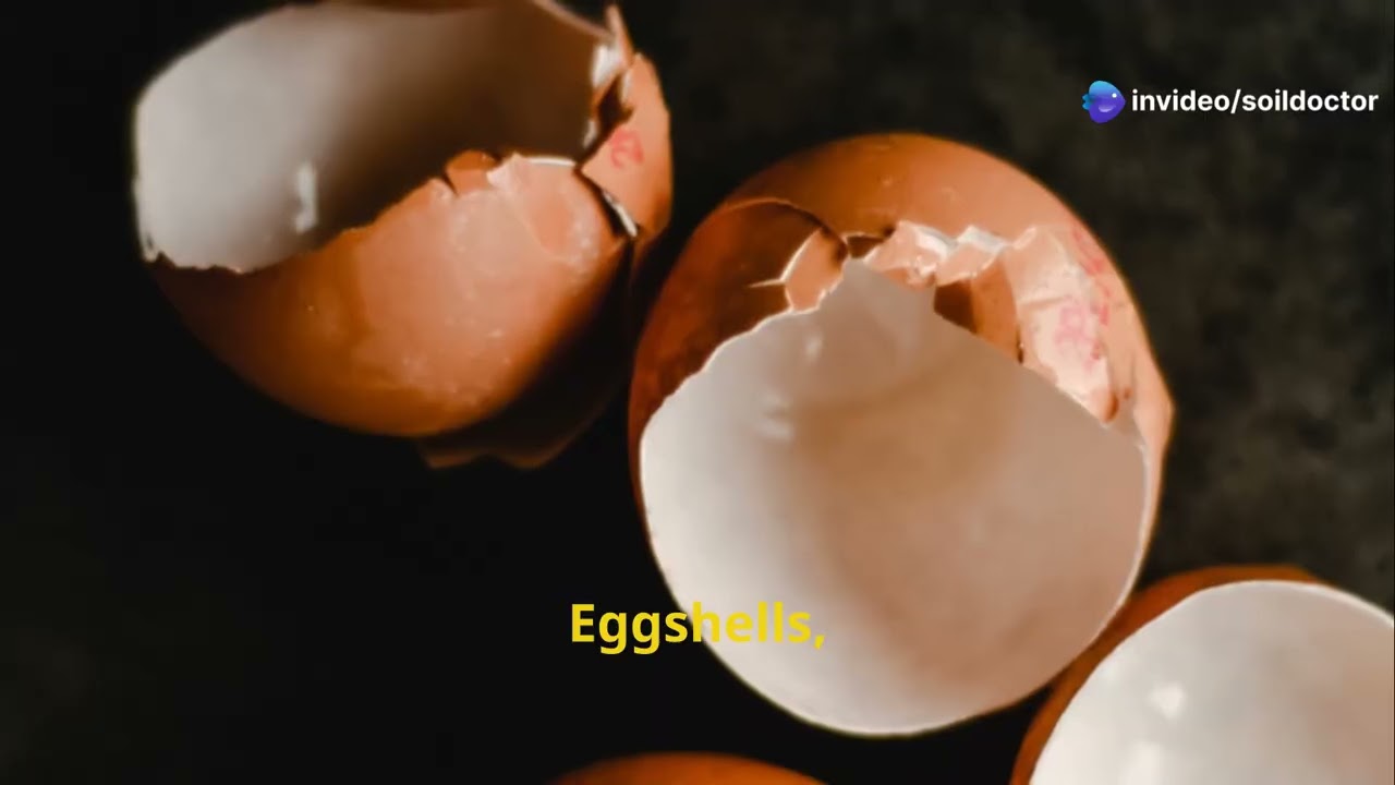 Revive Your Soil with This Grandma's Secret