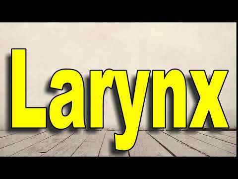 How to Pronounce Larynx