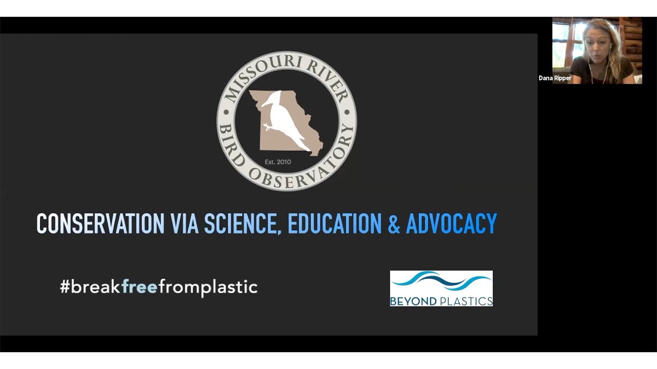 Everything You Need to Know about Microplastics