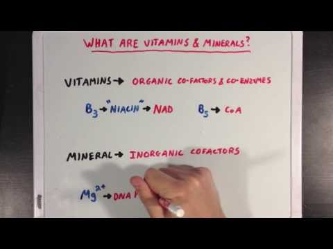 Co-factors, Co-enzymes, and Vitamins