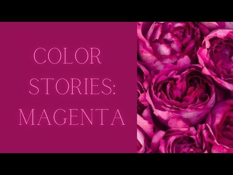 Color Stories: Episode 17 Magenta