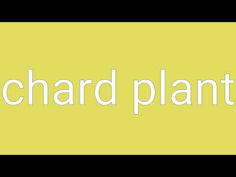 Chard Plant Definition & Meaning