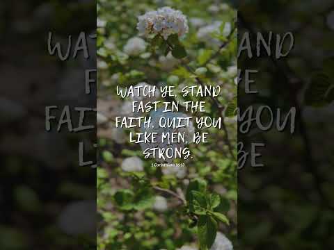 1 Corinthians 16:13 – Stand Firm in Faith | #BibleVerse #MrEdwardFavoriteQuotes