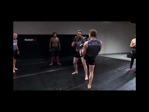 What Does Free-Fighting Mean in Taekwondo? | White Dragon Dojang