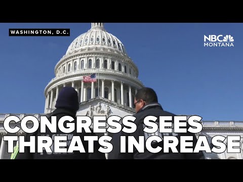 Congress grapples with 'dramatic increase in threats' in wake of Minnesota shootings