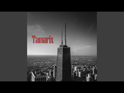 Trefoil Four huge T.S.U.B.A.M.E.