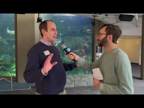 Sharks, turtles and millions of lights at the Pittsburgh Zoo!