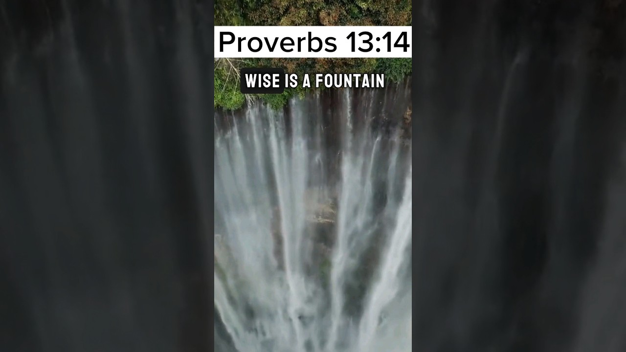 Bible Verse from Proverbs ( listen to full chapter ▶️)  #proverbs #biblereading #bibleverses #shorts