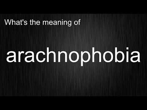 What's the meaning of "arachnophobia", How to pronounce it?