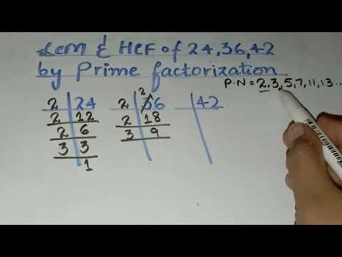 Lcm and Hcf of 24 36 42 | by prime factorization | in Urdu/Hindi |