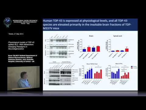 K. Talbot - Physiological models of TDP-43 related amyotrophic lateral sclerosis