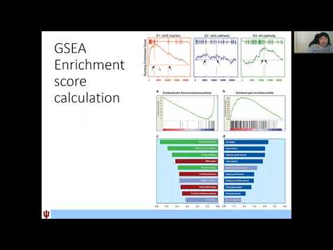 B4B: Module 4 - Functional Analysis - GSEA (theory)