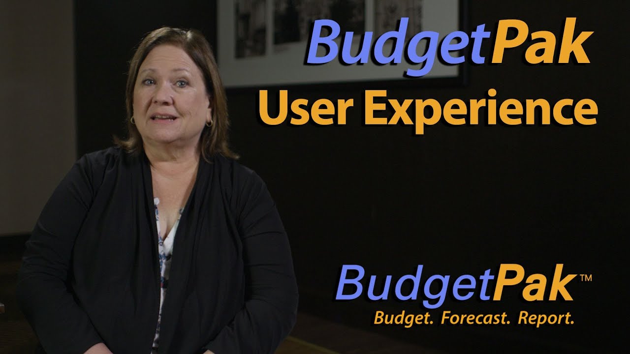 The User Experience | BudgetPak's Ease-of-Use