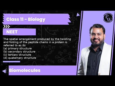 The spatial arrangement produced by the twisting and folding of the peptide chains in a protein i...