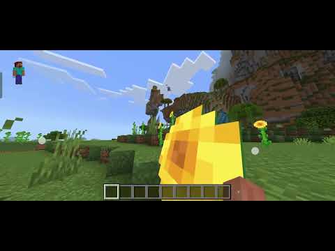 What is this biome