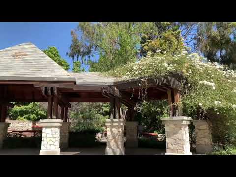 The Arboretum Botanical Garden . Santa Anita , California.