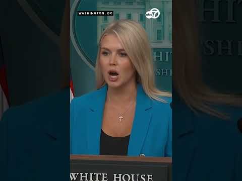 'What a stupid question': Karoline Leavitt reacts to reporter's question about parade protests