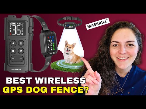 Best Wireless GPS Dog Fence? (Honest Review)