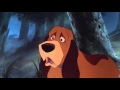 The Fox And The Hound Hd Dan Gejk Watch HD Mp4 Video Download Free