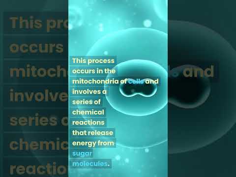 What is cellular respiration?