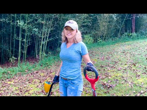 Trying out the Ricomax GC-1037 Metal Detector