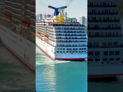 Carnival VS Royal: Which one is better? 🤔