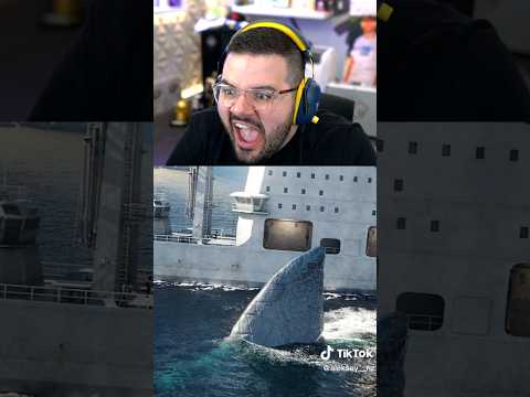 Proof The Megalodon Is Real...